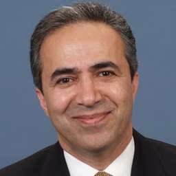 Ali Vojdani - Founder and CEO @ GridBright - Crunchbase Person Profile