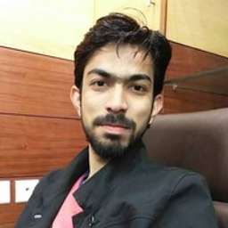 Ankit Bhatia - Crunchbase Person Profile