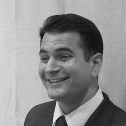 Arta Mandegari - Co-Founder @ Albert - Crunchbase Person Profile