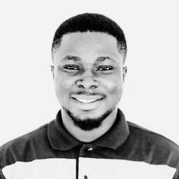 Victor Alade - CEO and Co-Founder @ Raenest - Crunchbase Person Profile