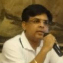 Satyajit Kumar - Managing Director and Founder @ GN India Sales ...