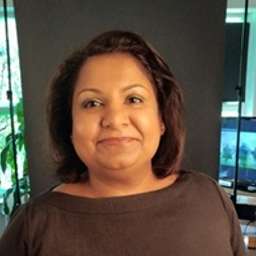 Ana Shah - Crunchbase Person Profile