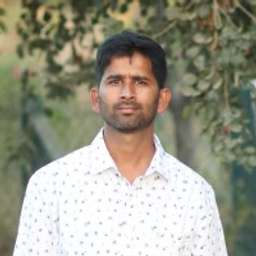 Piyush Garg - Co-Founder and Direct Marketing @ Mad 4 Digitizing - Crunchbase Person Profile