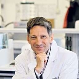 Stephen Bennington - CEO @ Q5D Technology - Crunchbase Person Profile