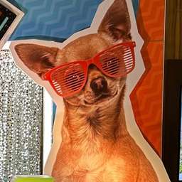 Brian Kersten Minnesota - Crunchbase Person Profile