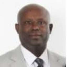 Semegne Tafesse - Founder and CEO @ BiSemA - Crunchbase Person Profile