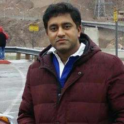 Prem Polavarapu - President, Independent Software Consultant & Developer @ SREE Software ...