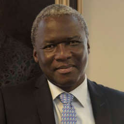 Isaac Shongwe - Chairman and Founder @ Letsema - Crunchbase Person Profile