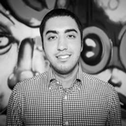 David Arabov - Co-Founder @ Wing Tel Inc. - Crunchbase Person Profile