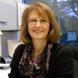 Mark Aronoff - Crunchbase Person Profile