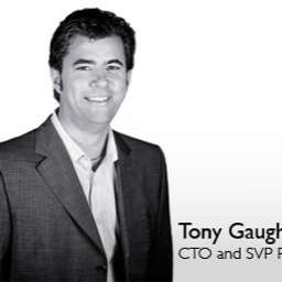 Tony Gaughan - CEO @ Amorphous - Crunchbase Person Profile