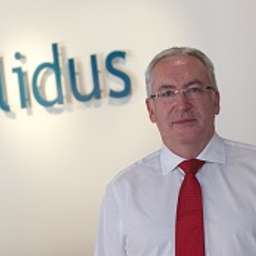 David Greenly - Director; Risk, Audit & Change @ Validus-IVC ...