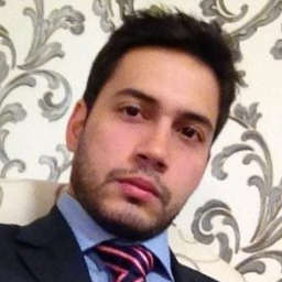 Paulo Costa Jr - Crunchbase Person Profile