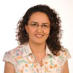 Derya Karakaş - Associate Professor of Economics @ Istanbul Technical ...