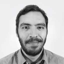 Mircea Anton - Crunchbase Person Profile