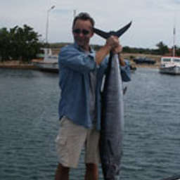 Mark Kurtz - Crunchbase Person Profile