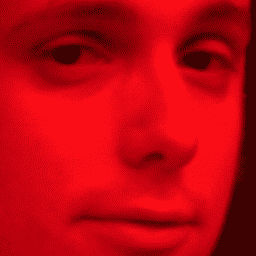 Steven Frank - Co-founder @ Panic - Crunchbase Person Profile