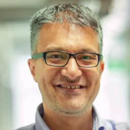 David Din - Crunchbase Person Profile