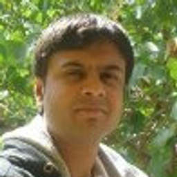 Mehul Patoliya - Crunchbase Person Profile