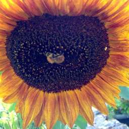 Benjamin Strohman - Crunchbase Person Profile