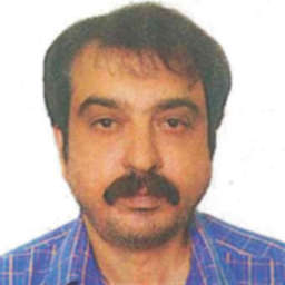 Niteen Kumar - Crunchbase Person Profile