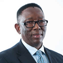 Shima Nokaneng - Group Executive: Business Intelligence @ Gauteng ...