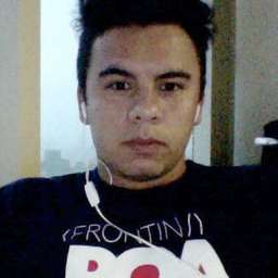 Vinicius Palma - Front-End Developer @ Codeminer 42 - Crunchbase Person Profile