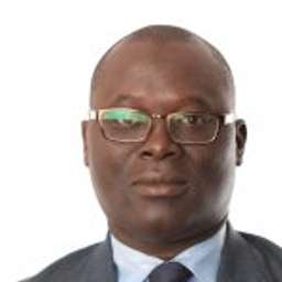 Drissa Traore - Vice President @ International Federation for Human ...