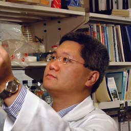 Brendan Lee - Professor of Molecular & Human Genetics @ Baylor College ...