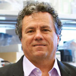 Scott Lowe - Founder @ Mirimus - Crunchbase Person Profile