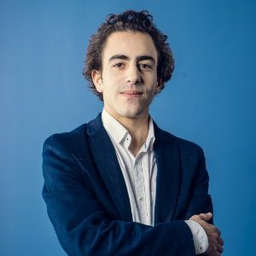 Alexandre Bellage - CEO & Co-Founder @ RusHour - Crunchbase Person Profile