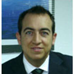 David Montiel - Co-Founder @ Anemoi Renovables - Crunchbase Person Profile