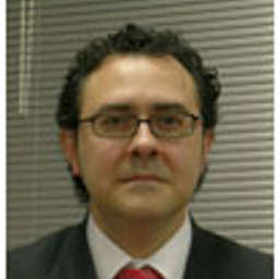 Ramon Rubio - Co-Founder @ Anemoi Renovables - Crunchbase Person Profile