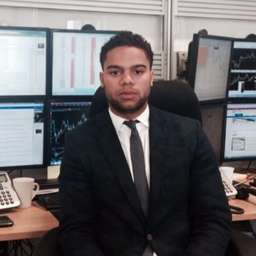 Louis Bell - Co-Founder @ Silicon Investing - Crunchbase Person Profile