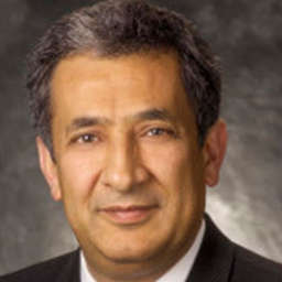 Mitch Javidi - Co-Founder, Board Director and COO @ Epochal ...