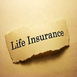 Lifeshield HQ - Crunchbase Person Profile