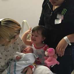 Rebecca botello - Crunchbase Person Profile