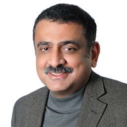 Arnab Gupta - CEO @ Opera Solutions - Crunchbase Person Profile