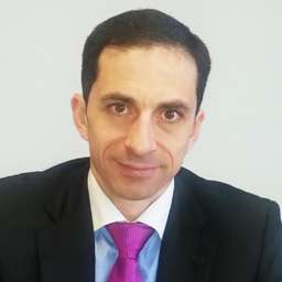 Pedro Agudo - CEO @ PRAGSIS BIDOOP - Crunchbase Person Profile