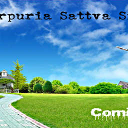 Salarpuria Sattva Signet - Crunchbase Person Profile