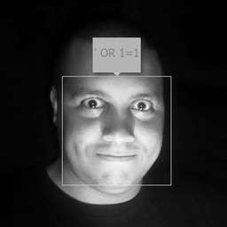 Mohamed A. Baset - Crunchbase Person Profile