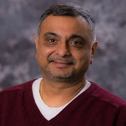 Srinivas Krishna - Partner, UK & EMEA @ Avasant - Crunchbase Person Profile