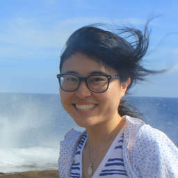 Ding Liu - Software Developer @ Aimsio - Crunchbase Person Profile