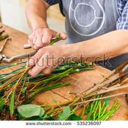 Glenn M Terrones - Crunchbase Person Profile