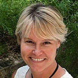 Lori Collins - Research Associate Professor @ University of South ...