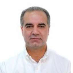 Hamid Torabi - Crunchbase Person Profile