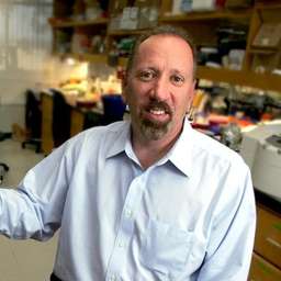 Richard Gallo - Co-Founder and Head @ MatriSys Bioscience - Crunchbase ...