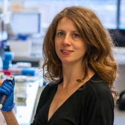 Ingrid Pultz - Crunchbase Person Profile