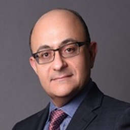 Hany Farag - Senior Director, Head of Methodology and Analytics, Capital Markets Risk Management ...