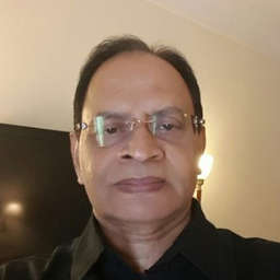 P.K.B. Menon - Managing Director @ Ginserv - Crunchbase Person Profile